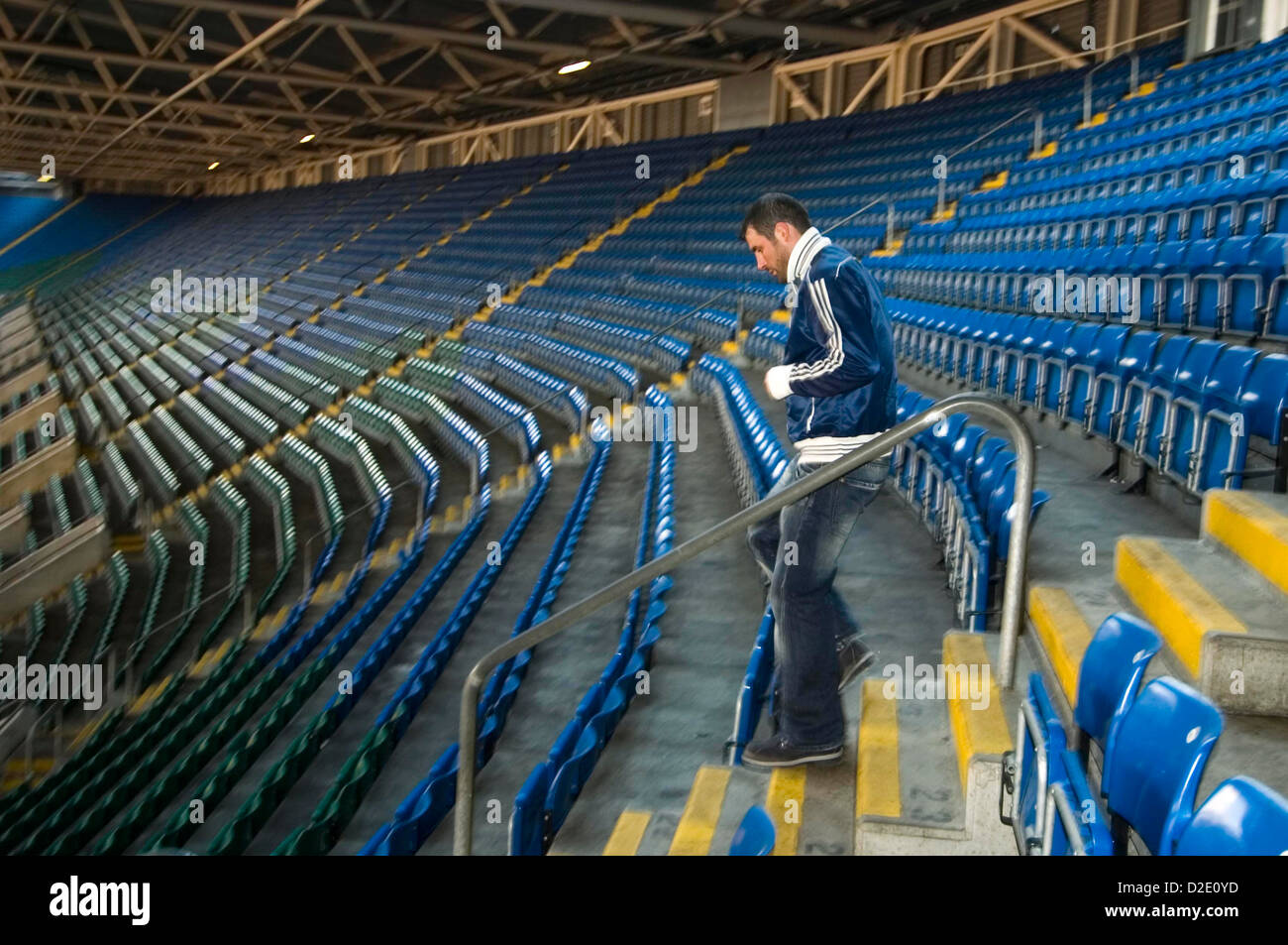 Welsh Boxer at the Millennium Stadium in Cardiff, UK Stock Photo - Alamy