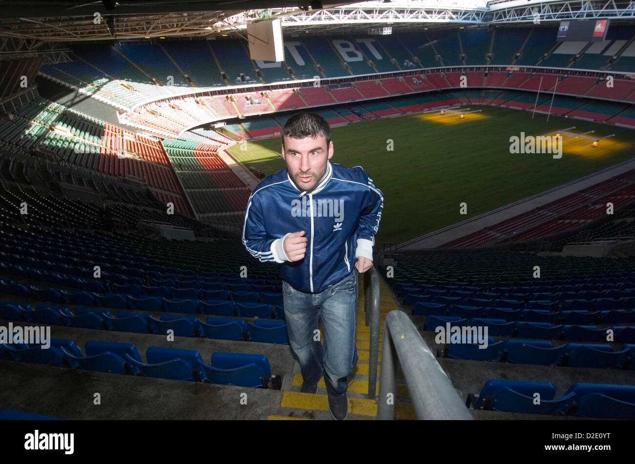 Welsh Boxer at the Millennium Stadium in Cardiff, UK Stock Photo - Alamy