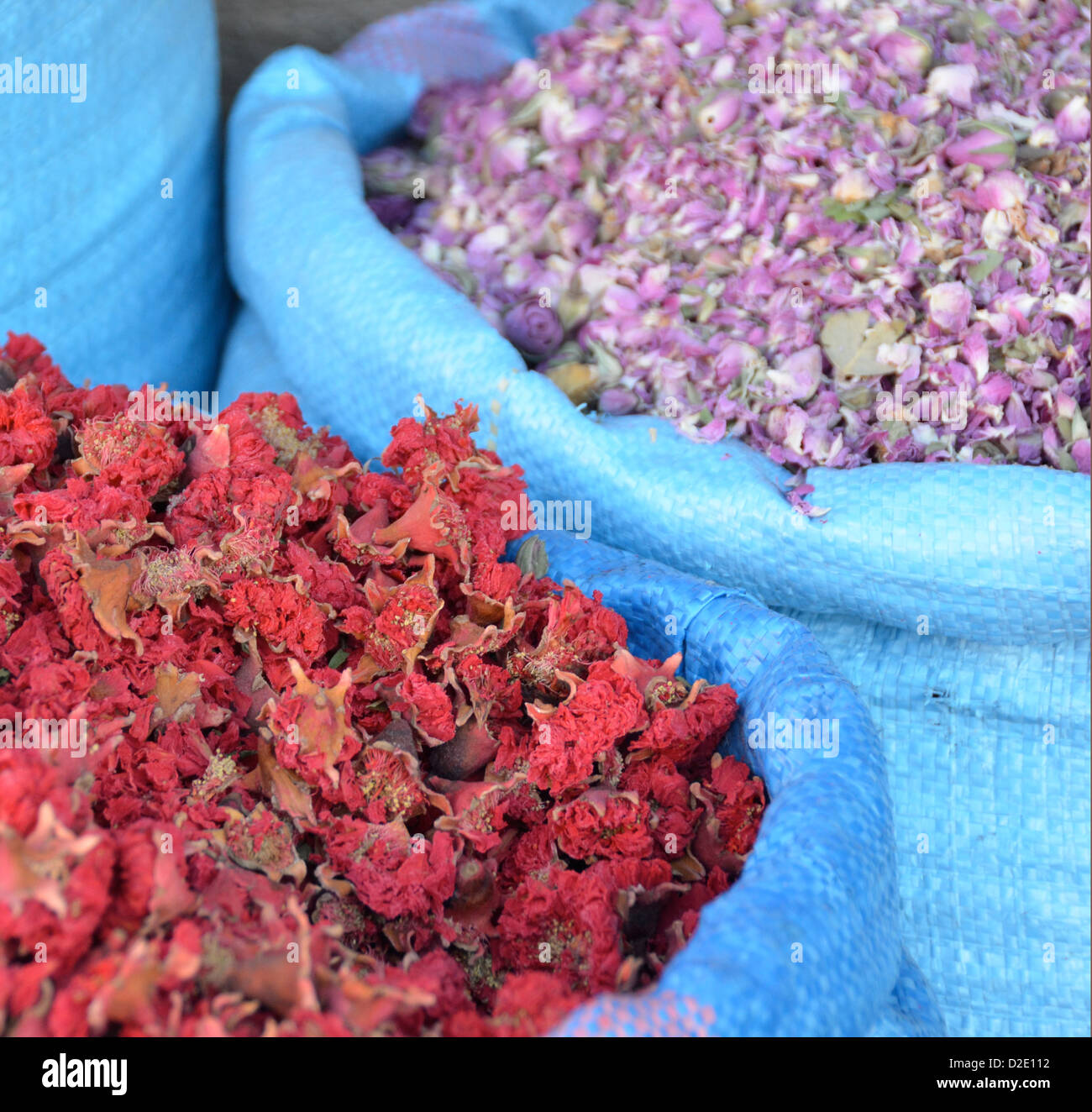Dried flower heads, Morocco Stock Photo - Alamy