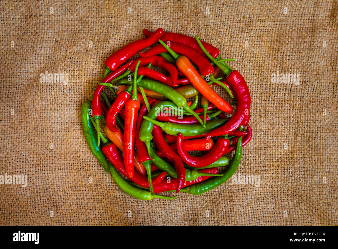 Hot chilli plants hi-res stock photography and images - Alamy