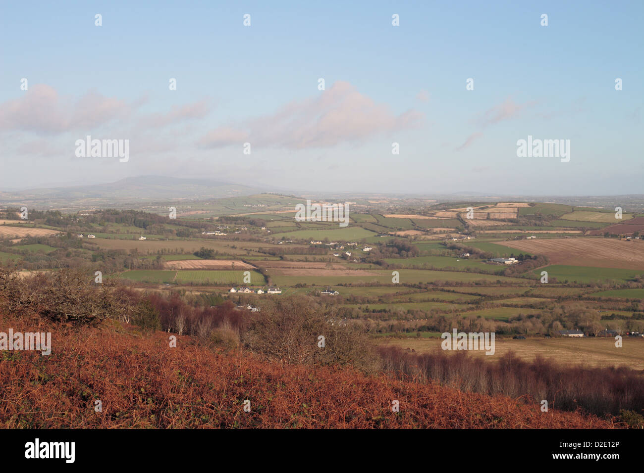 John f kennedy arboretum hi-res stock photography and images - Alamy