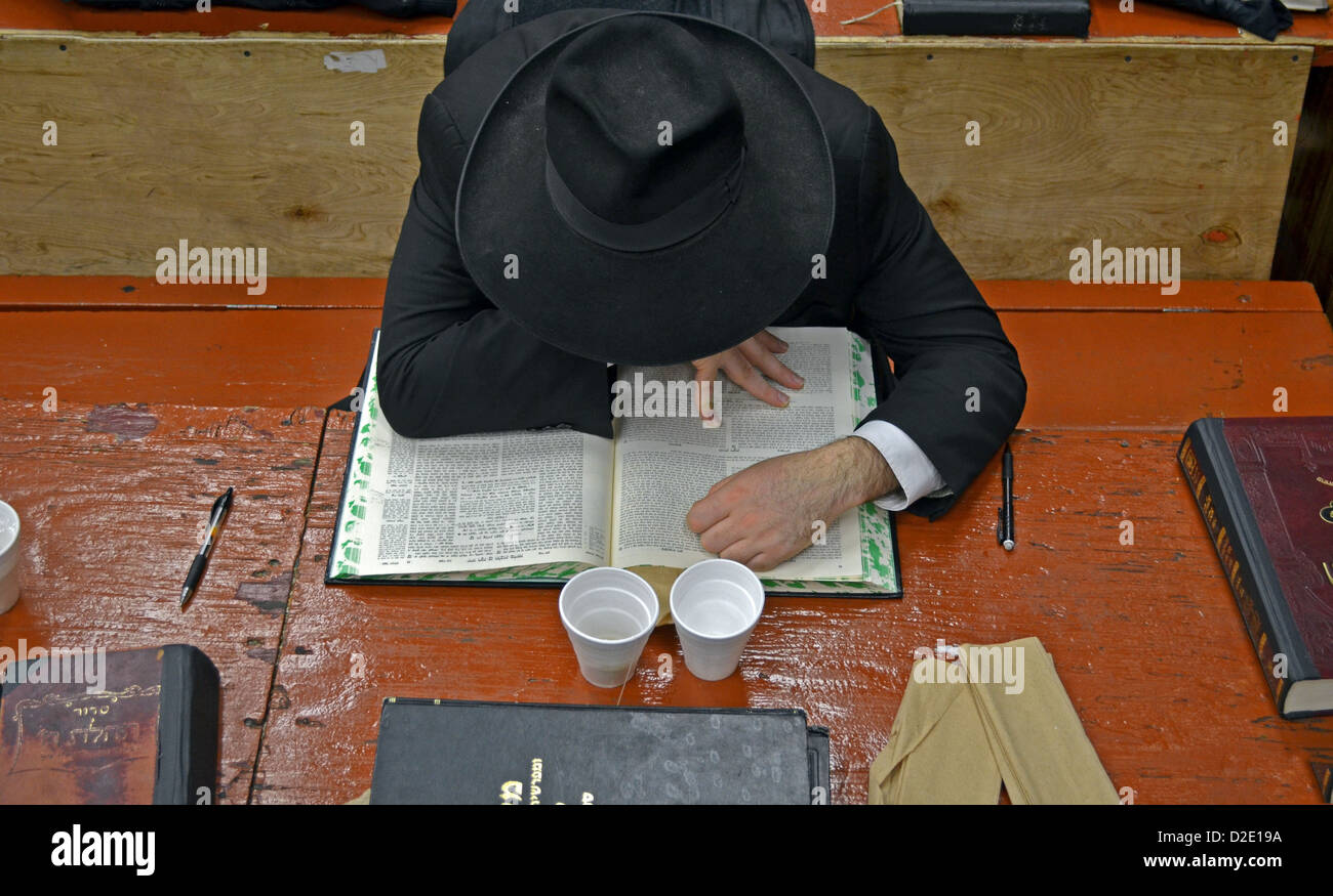 A religious Jewish man studying Talmud at Lubavitch headquarters in ...