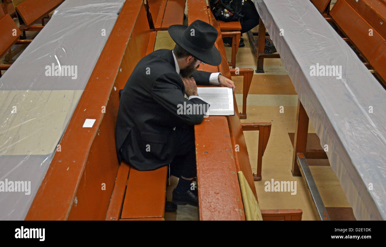 Roots study hi-res stock photography and images - Alamy