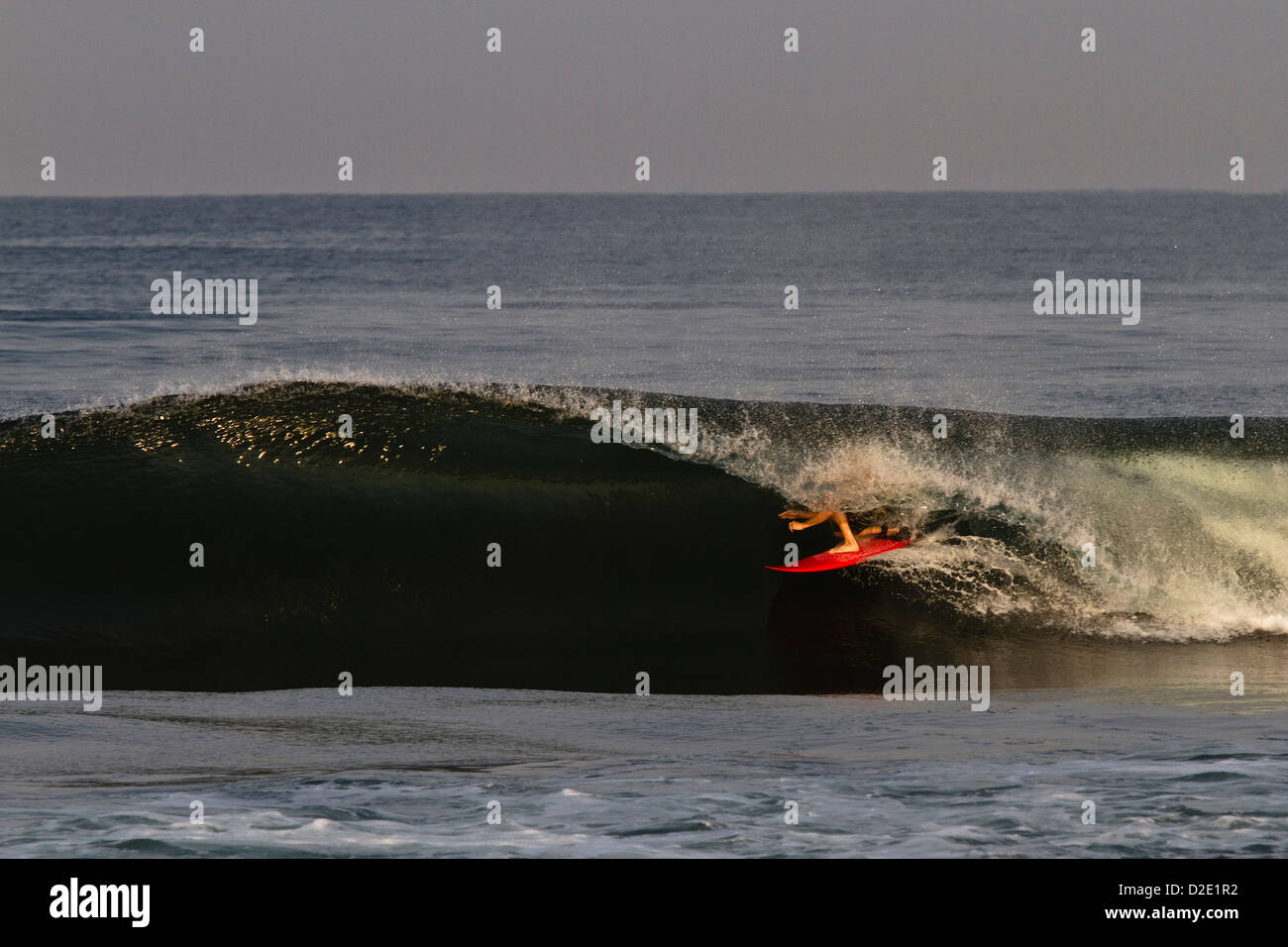 A male surfer riding a red board drives through a small clean barrel ...