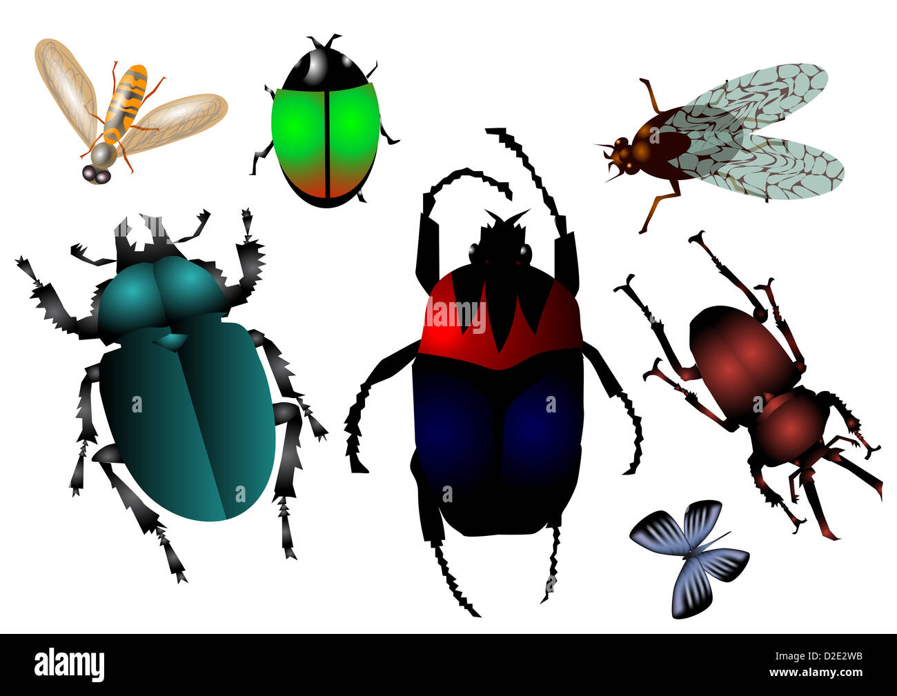 set of insects Stock Photo - Alamy
