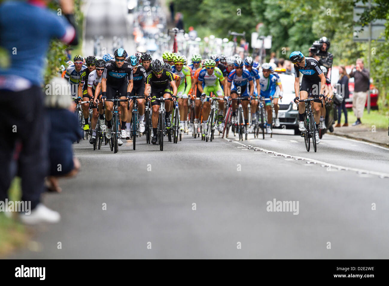 The peloton (with Mark cavendish on the left) climb a hill on stage 8 ...