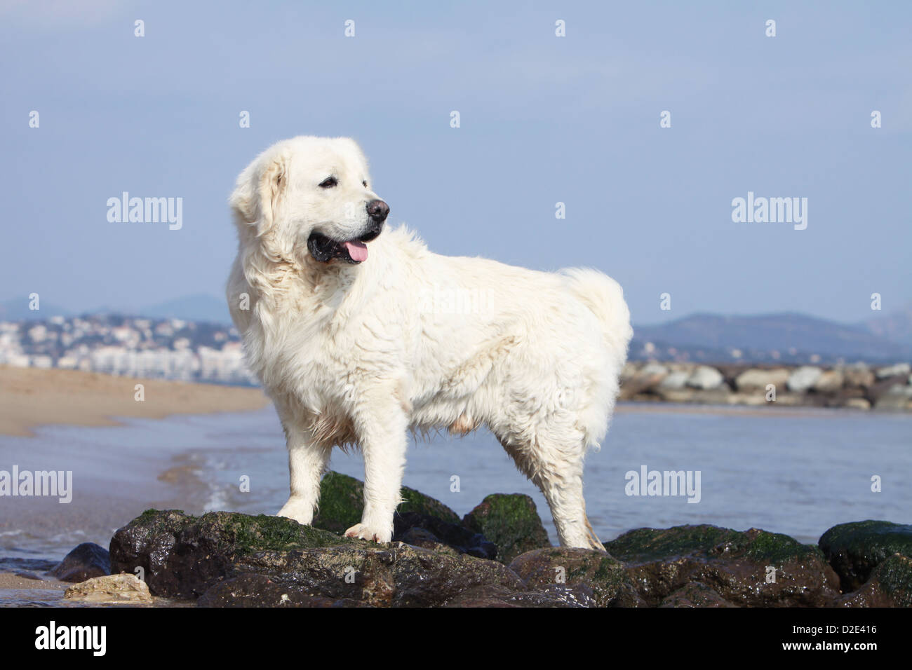 Podhale tatra hi-res stock photography and images - Alamy