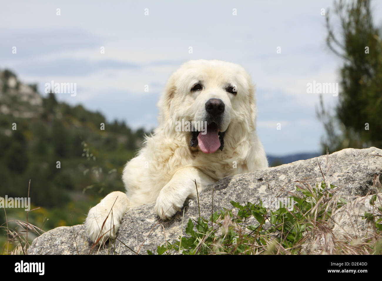 Polski rock hi-res stock photography and images - Alamy