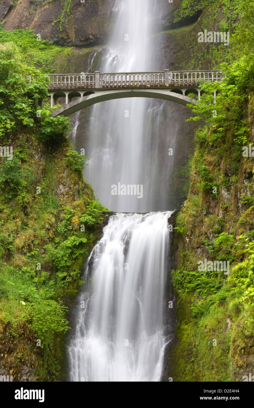 Multnomah Falls and the famous Benson Foot Bridge in the Columbia River ...