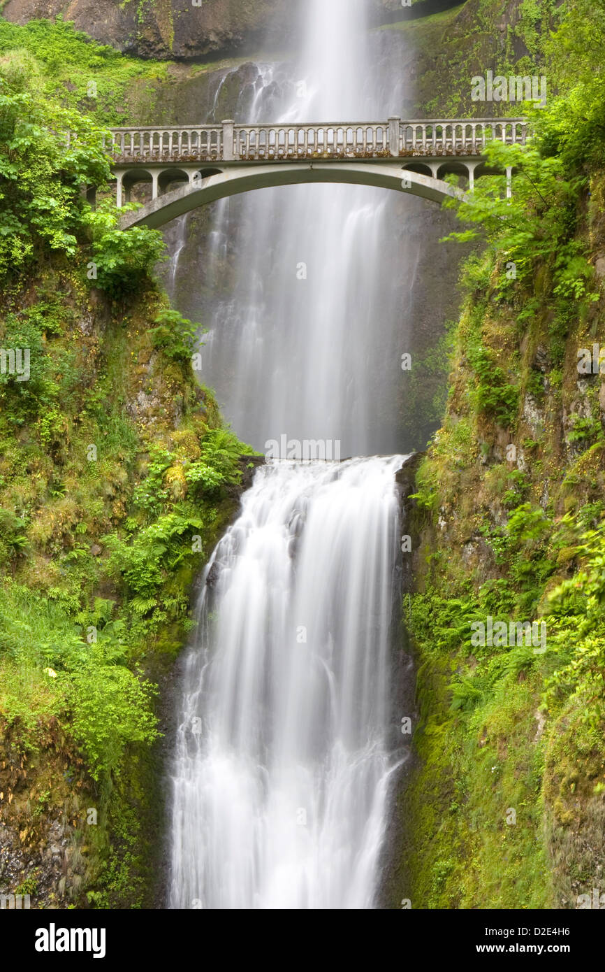 Multnomah Falls and the famous Benson Foot Bridge in the Columbia River ...