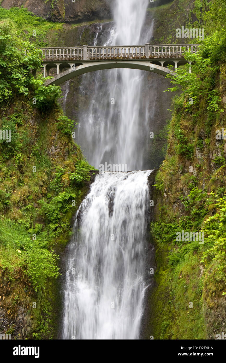 Multnomah Falls and the famous Benson Foot Bridge in the Columbia River ...