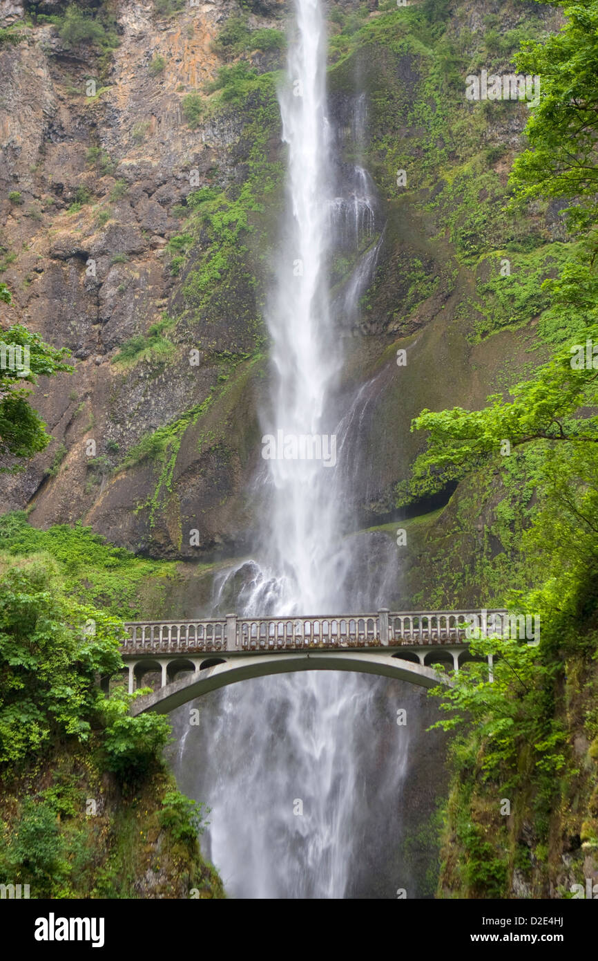 Multnomah Falls and the famous Benson Foot Bridge in the Columbia River ...
