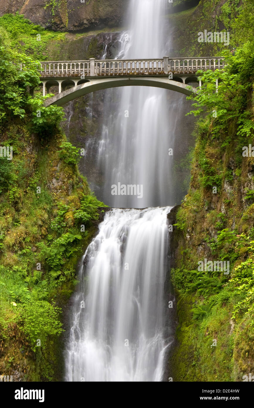Multnomah Falls and the famous Benson Foot Bridge in the Columbia River ...