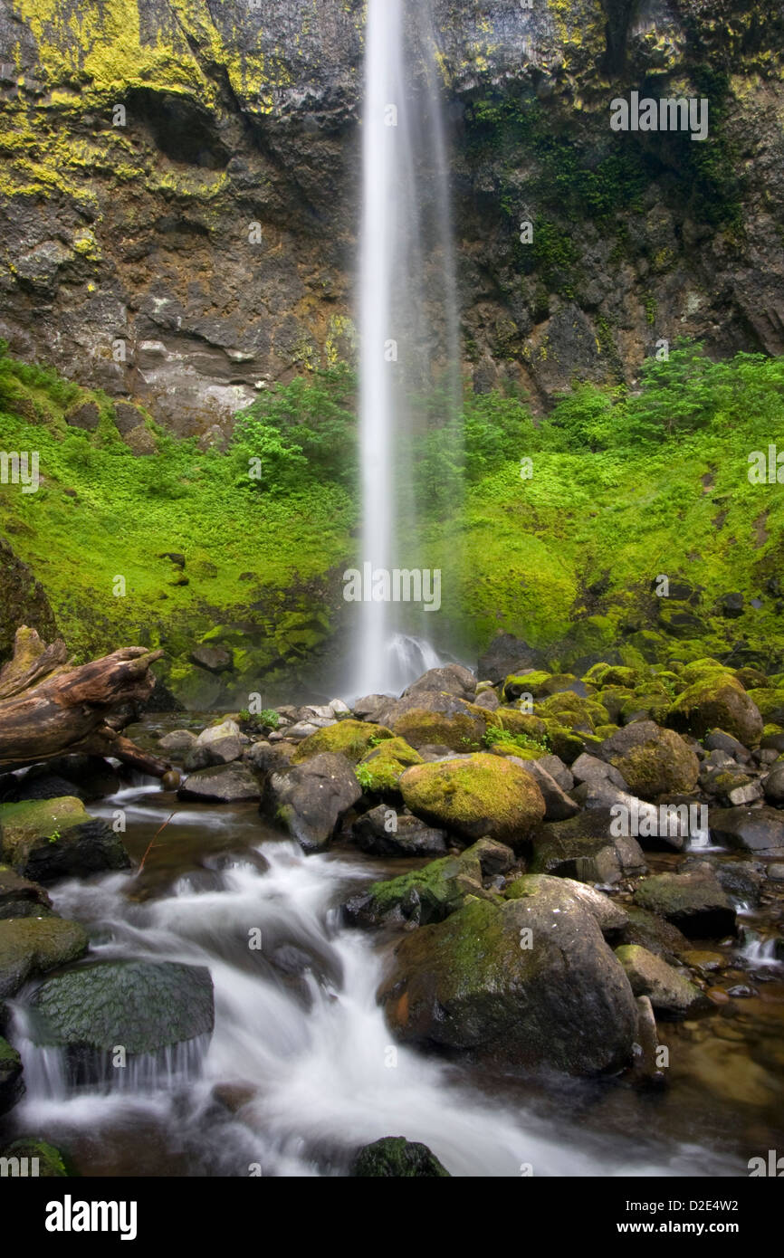 Elowah Falls in the Columbia River Gorge National Scenic Area, Oregon ...