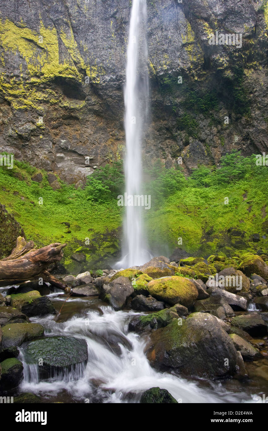 Elowah Falls in the Columbia River Gorge National Scenic Area, Oregon ...