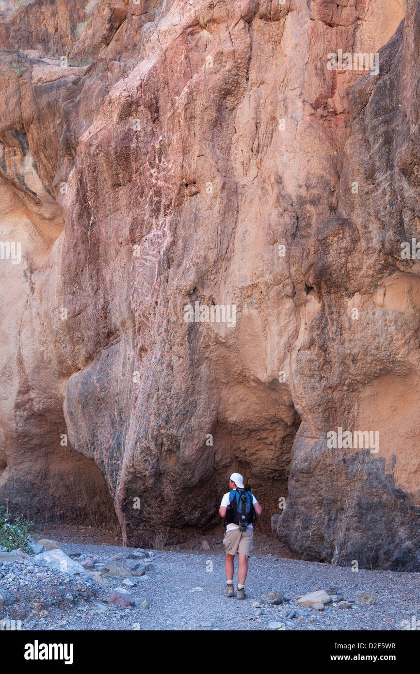 A hiker explores Fall Canyon in Death Valley National Park, California ...