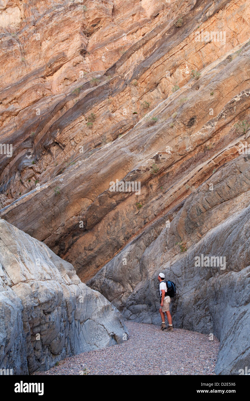 A hiker explores Fall Canyon in Death Valley National Park, California ...