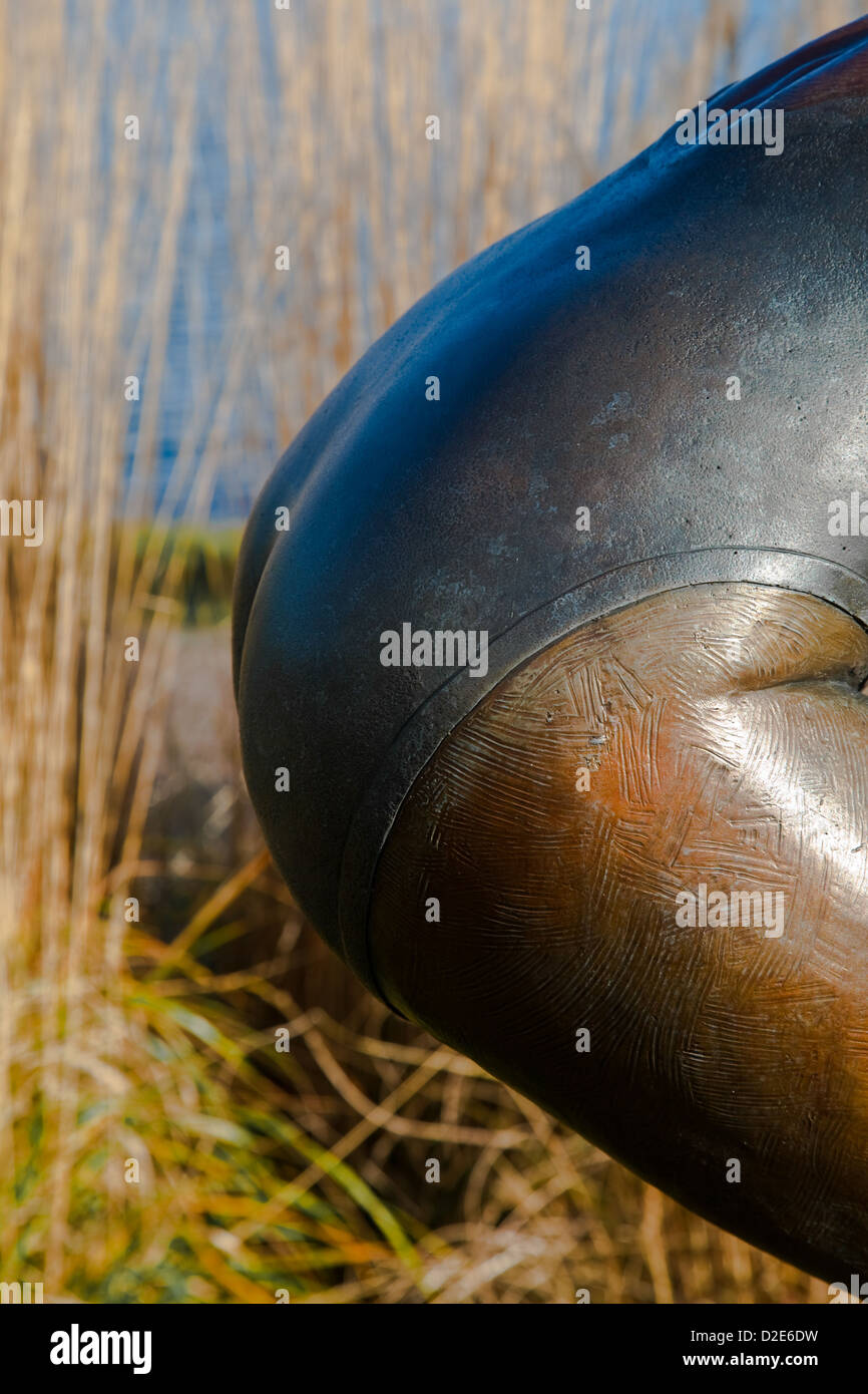 Abstract image of a bronze statue of a female swimmer Stock Photo - Alamy
