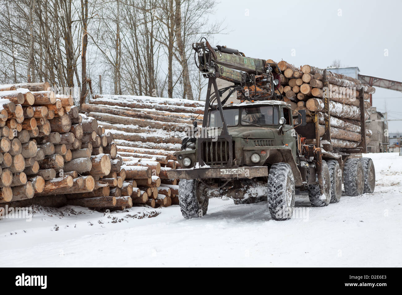 Log loader track with driver. Timber in lumber-mill in winter season ...