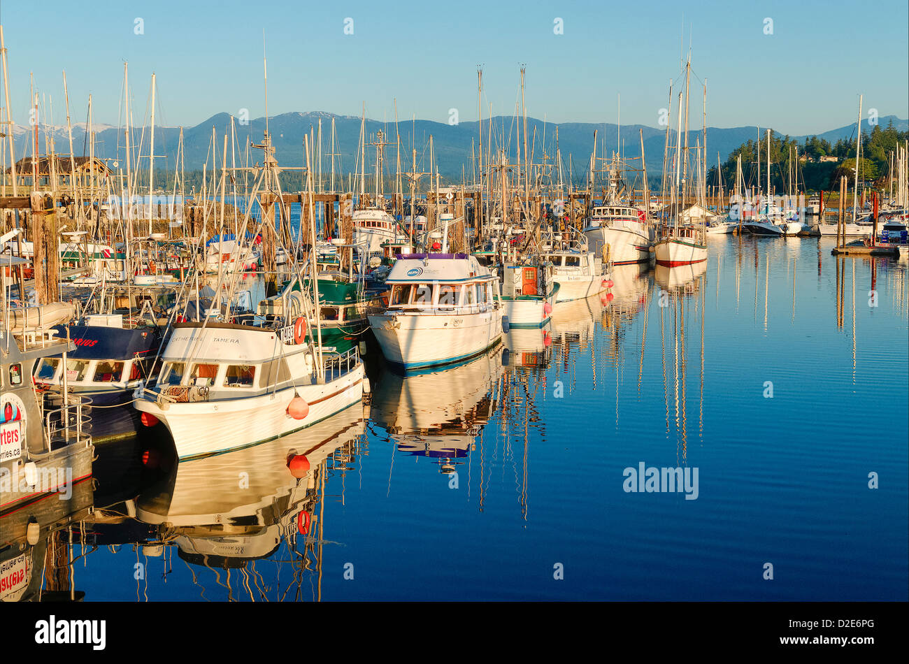 Comox marina, Vancouver Island, British Columbia, Canada Stock Photo ...