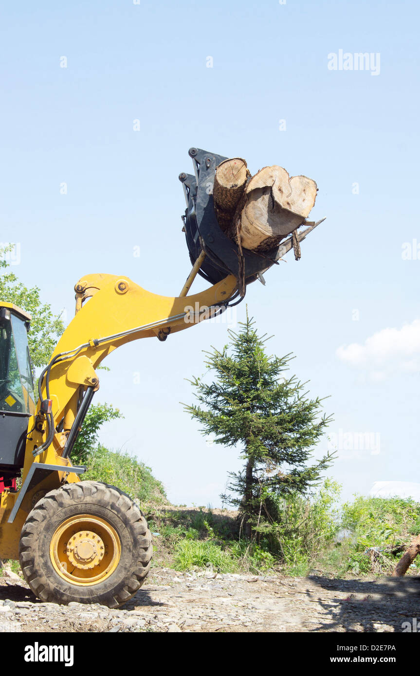 A loader bulk transport timber Stock Photo - Alamy