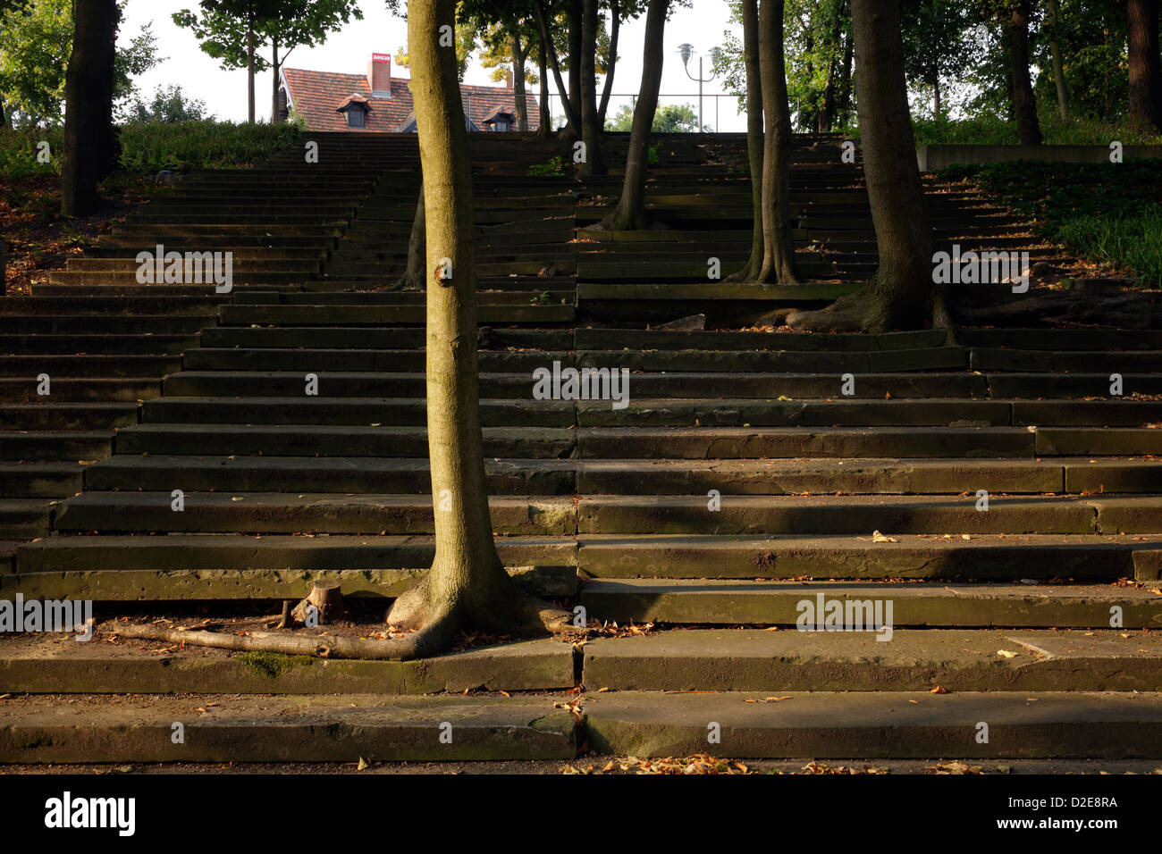 Berlin, Germany, trees grow by steps Stock Photo - Alamy