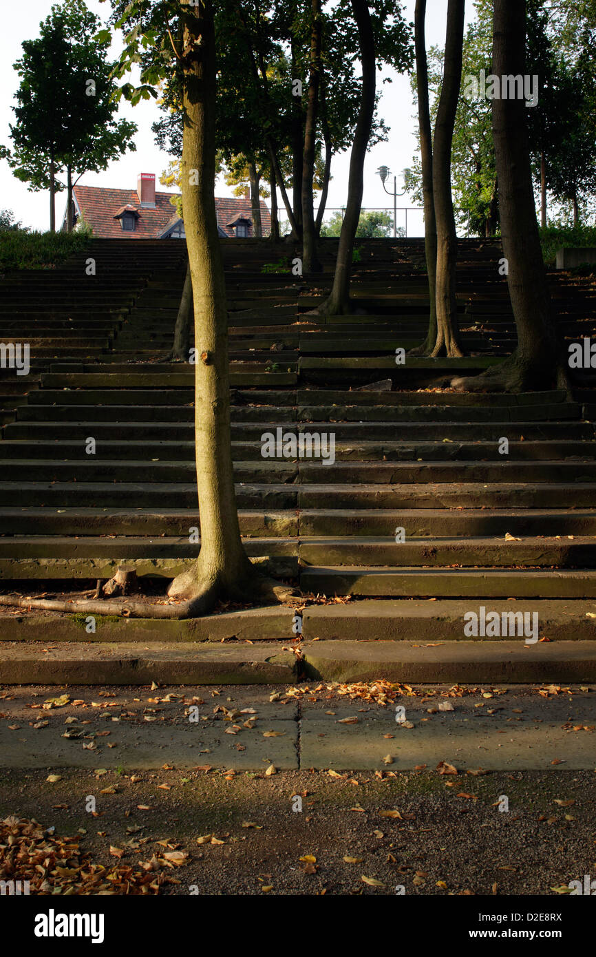 Berlin, Germany, trees grow by steps Stock Photo - Alamy
