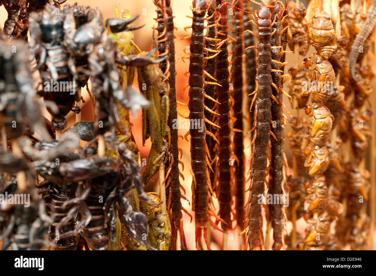 Cooked insects hi-res stock photography and images - Alamy