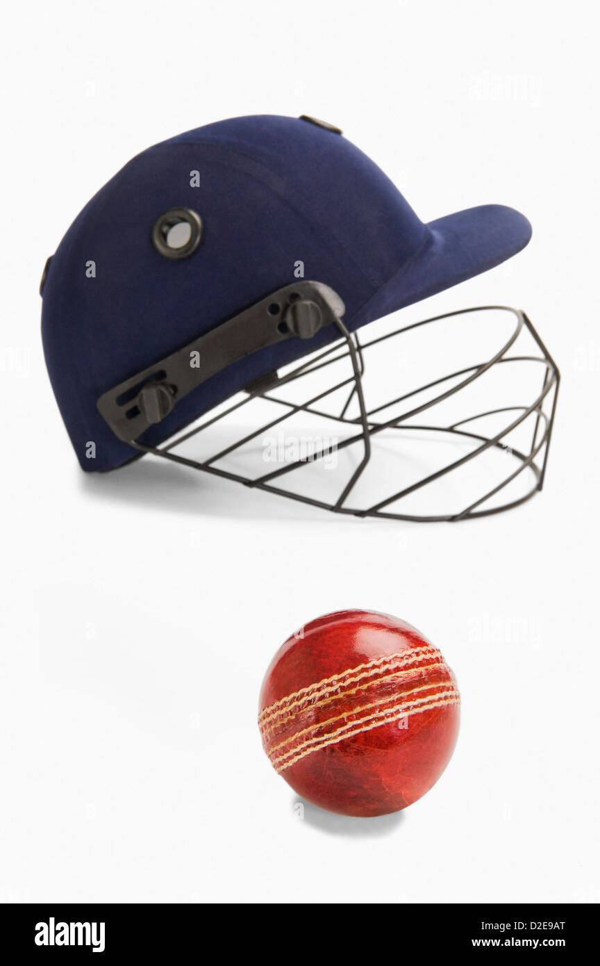 Cricket head head shot Cut Out Stock Images & Pictures - Alamy