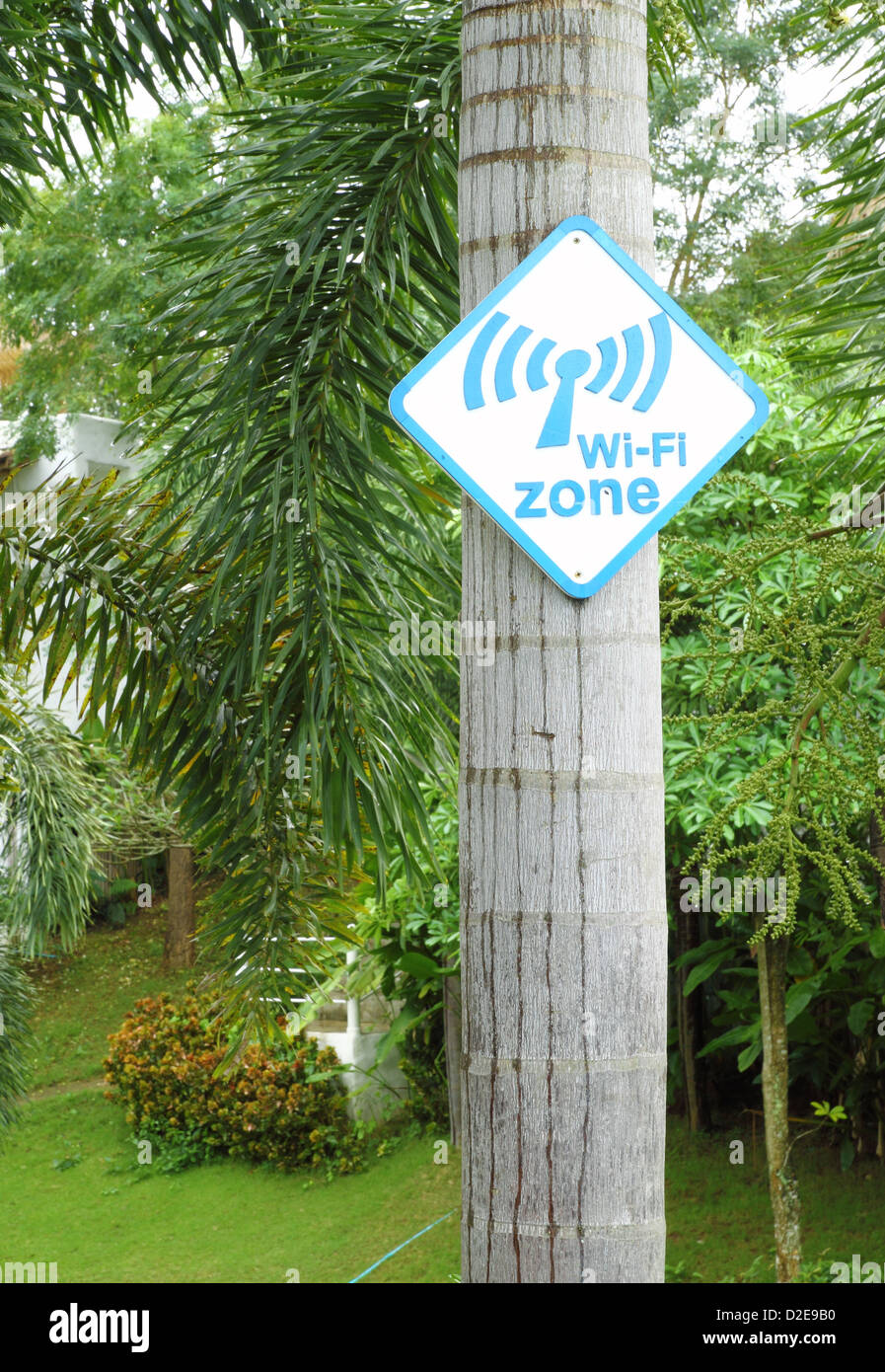 Wifi symbol tree hi-res stock photography and images - Alamy