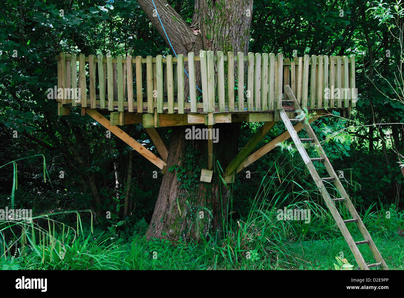 Tree house climbing children hi-res stock photography and images - Alamy