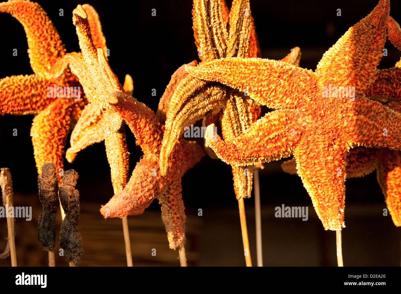 Chinese starfish hi-res stock photography and images - Alamy