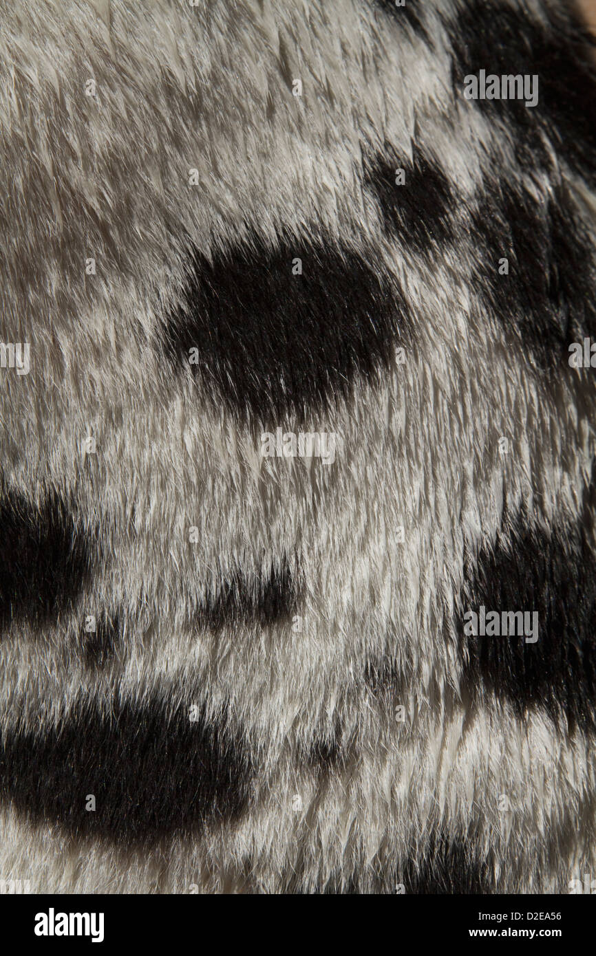 Animal skin hi-res stock photography and images - Alamy