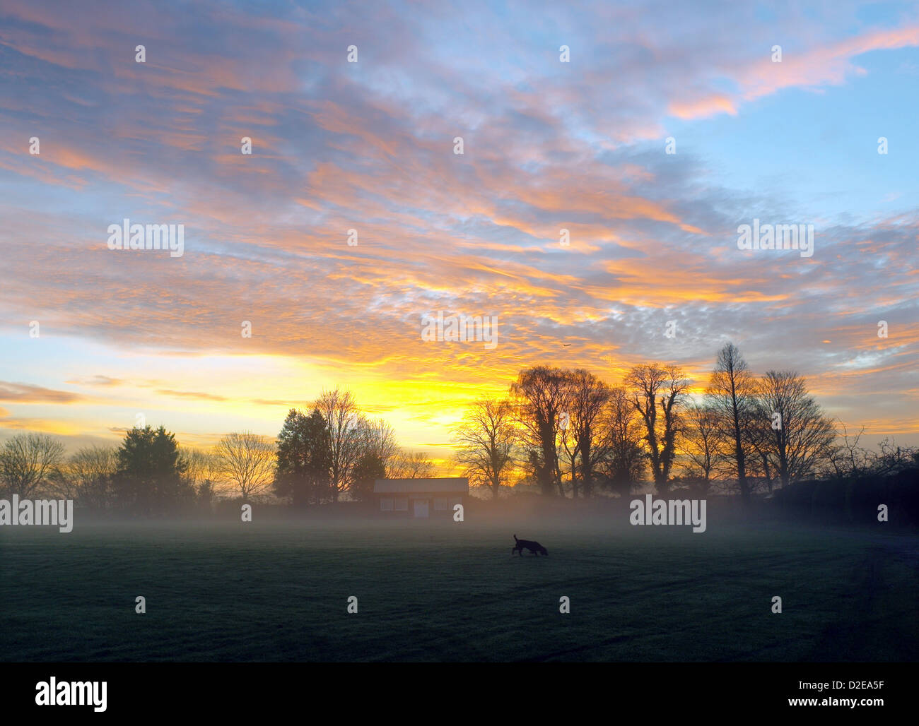 Early morning sky sun hi-res stock photography and images - Alamy