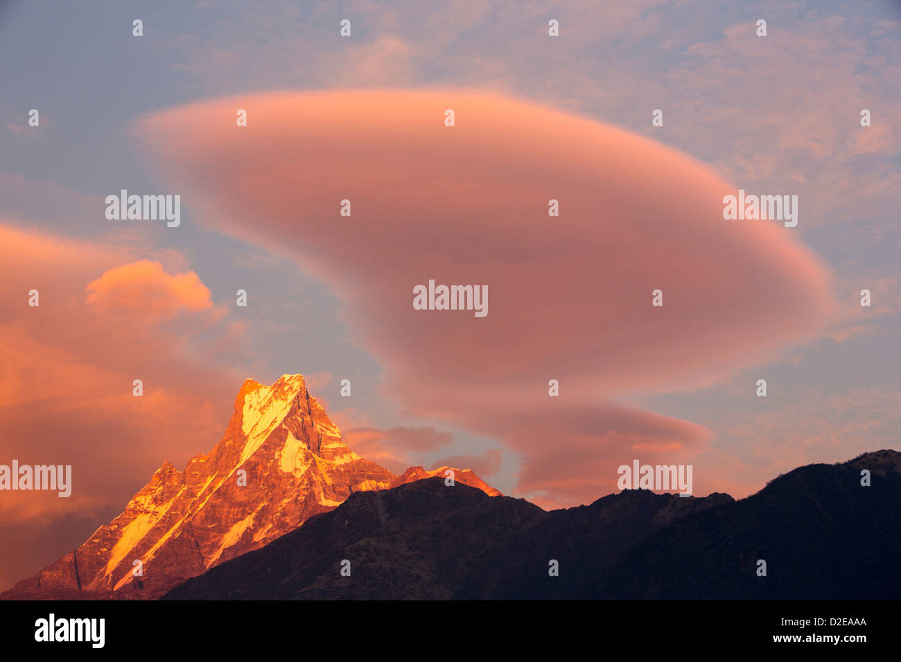 Alpenglow at sunset on Machapuchare, Annapurna Sanctuary, Nepelese ...