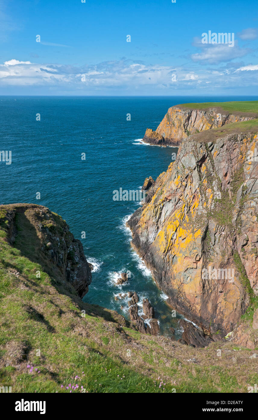 Scotland, Mull of Galloway, coastal cliffs Stock Photo - Alamy