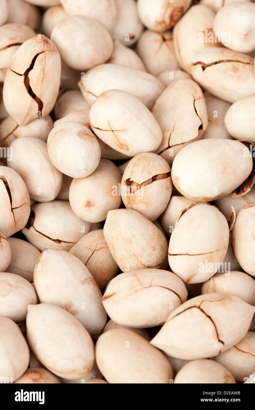 Pecan industry hi-res stock photography and images - Alamy