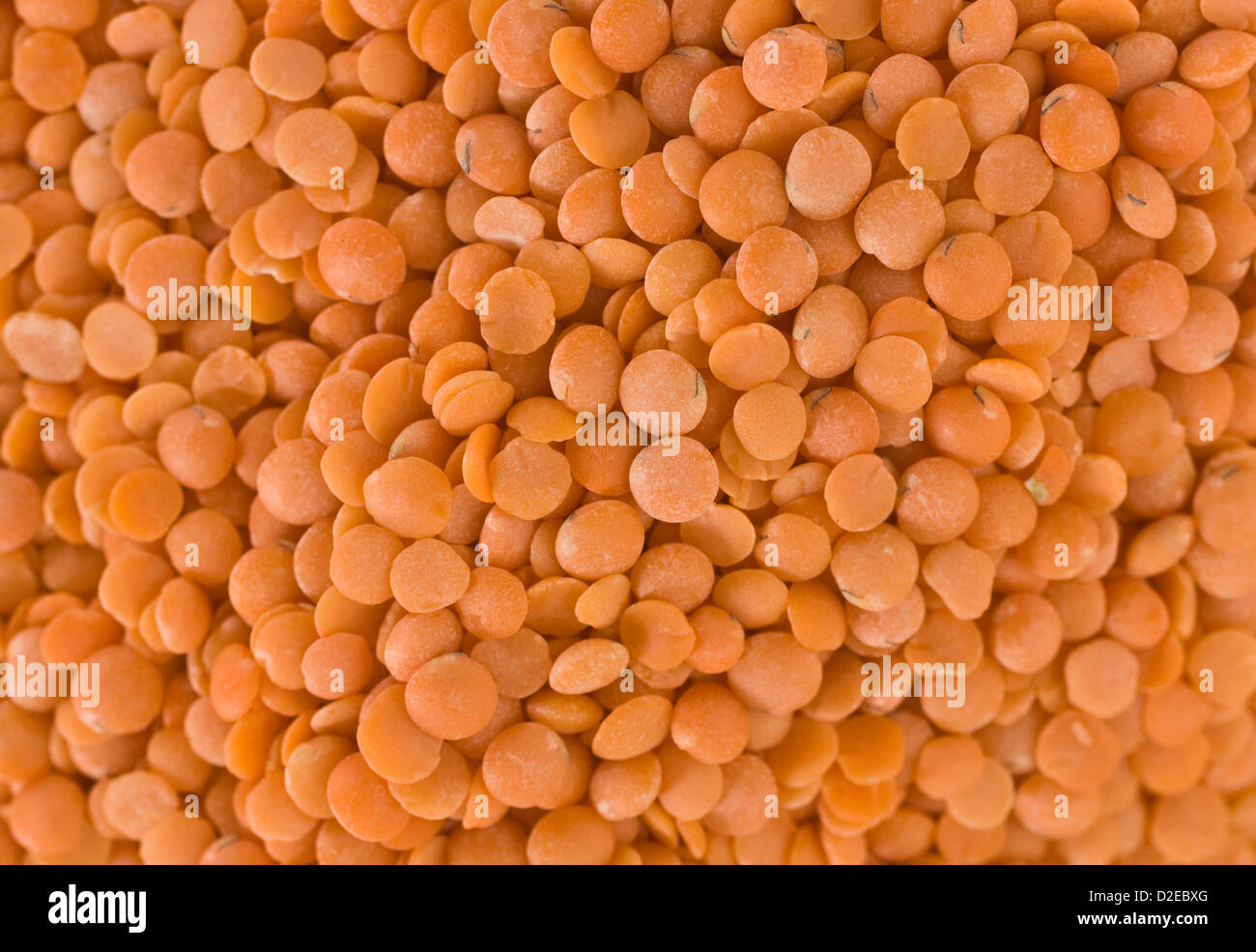 Lentil full frame hi-res stock photography and images - Alamy