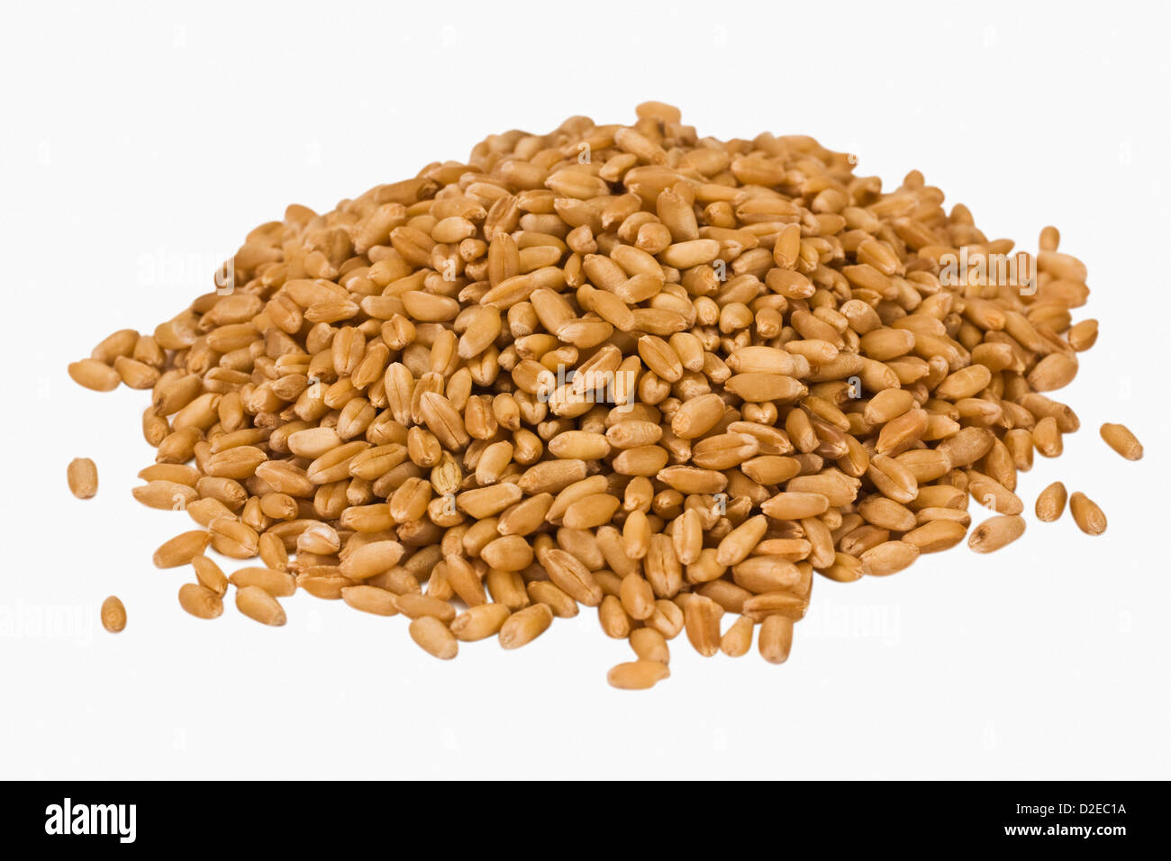 Close-up of wheat kernels Stock Photo - Alamy