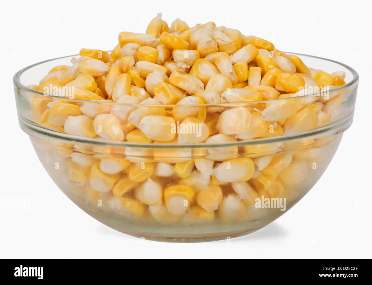 Kernels of seed corn Cut Out Stock Images & Pictures - Alamy
