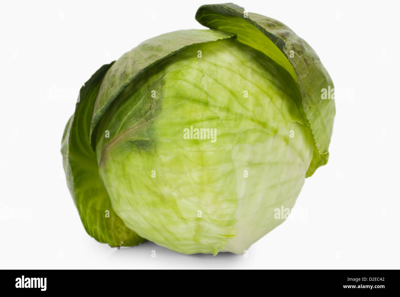 Vegetable cabbage food aliment hi-res stock photography and images - Alamy