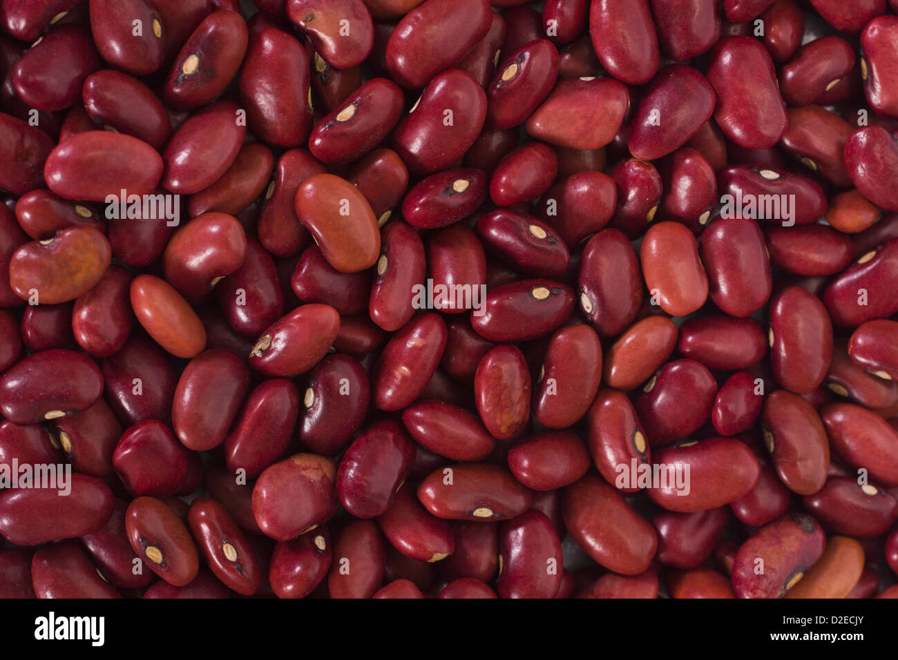 Close-up of kidney beans Stock Photo - Alamy