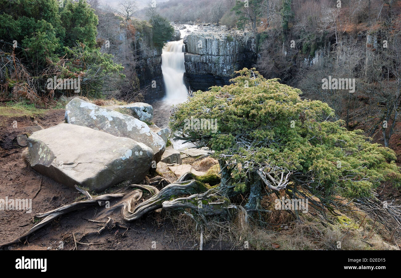 High Force waterfall in County Durham Stock Photo - Alamy