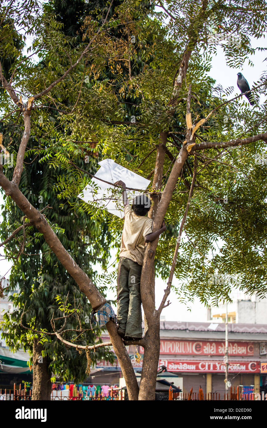 Child kite in tree hi-res stock photography and images - Alamy