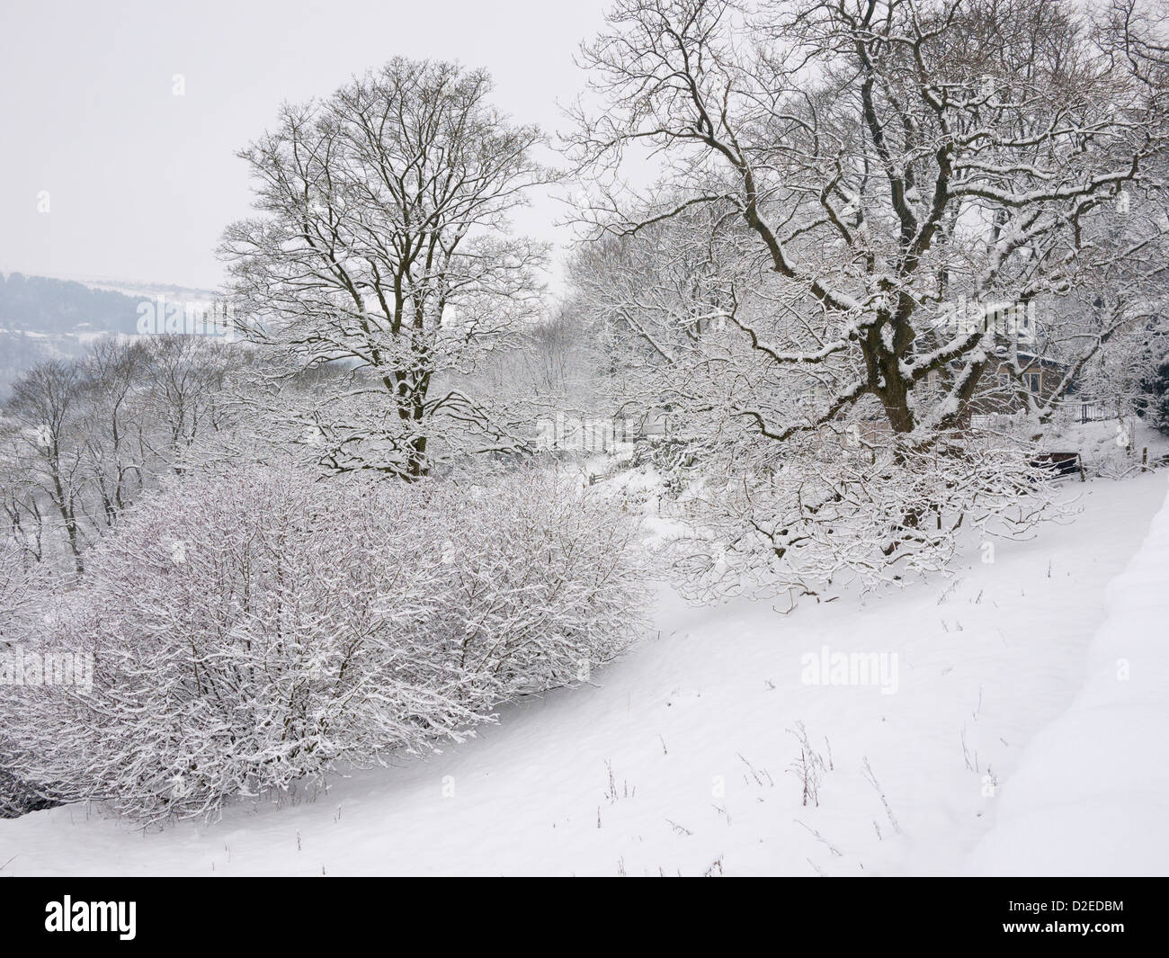 Winter scenery England, UK Stock Photo - Alamy