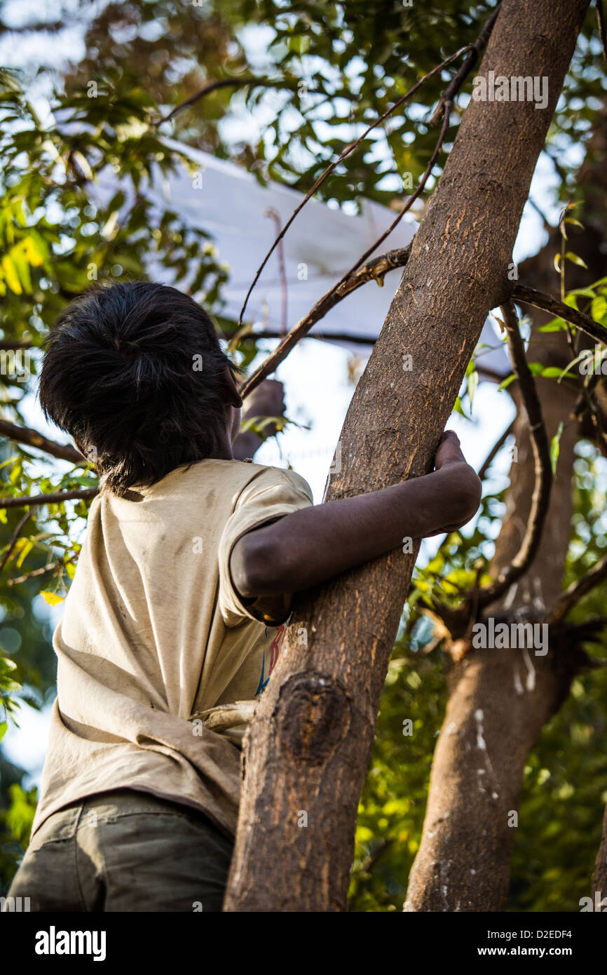 Child kite stuck in tree hi-res stock photography and images - Alamy