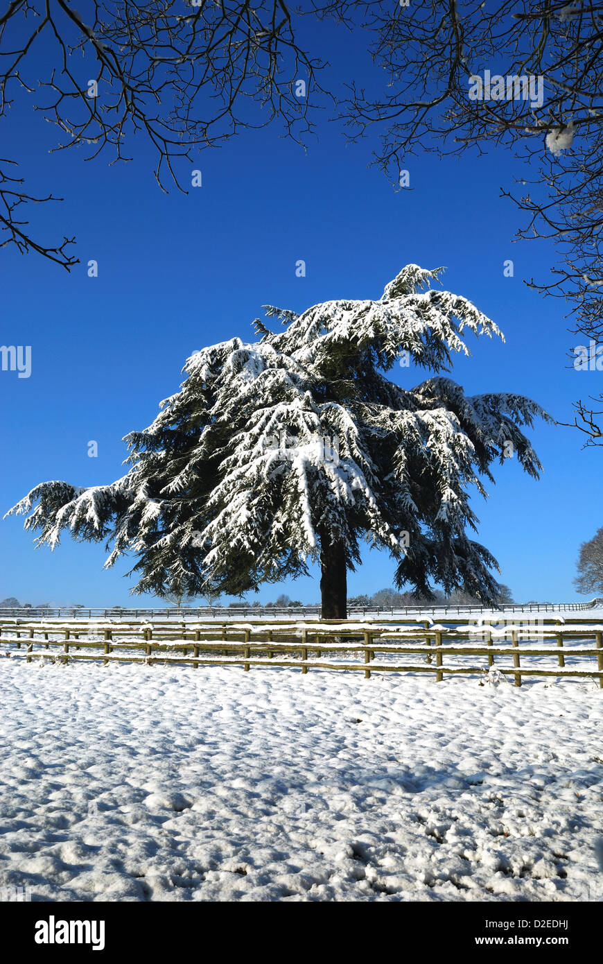 Cedar fence hi-res stock photography and images - Alamy
