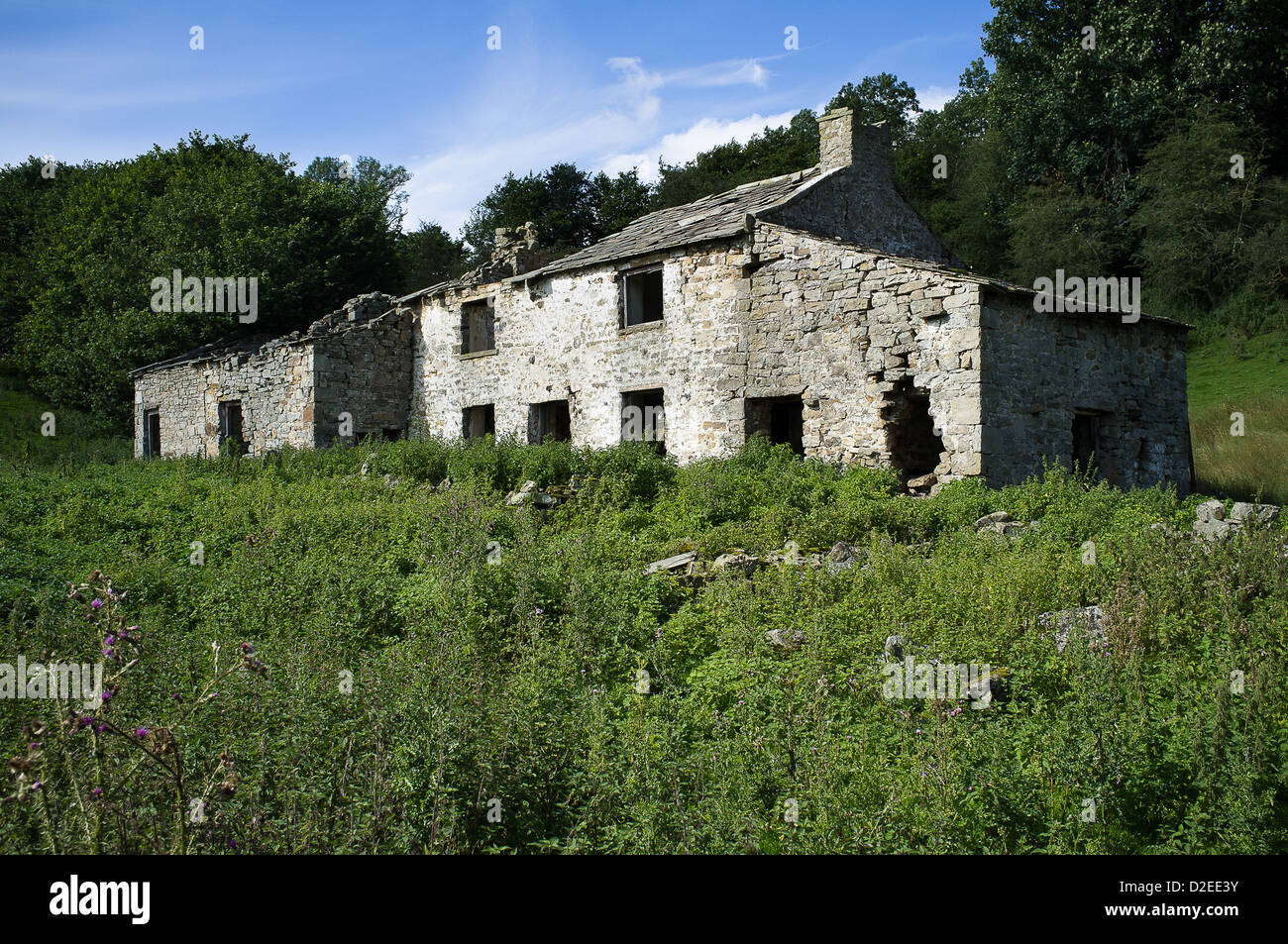 A derelict farm house in the Yorkshire Dales Stock Photo - Alamy