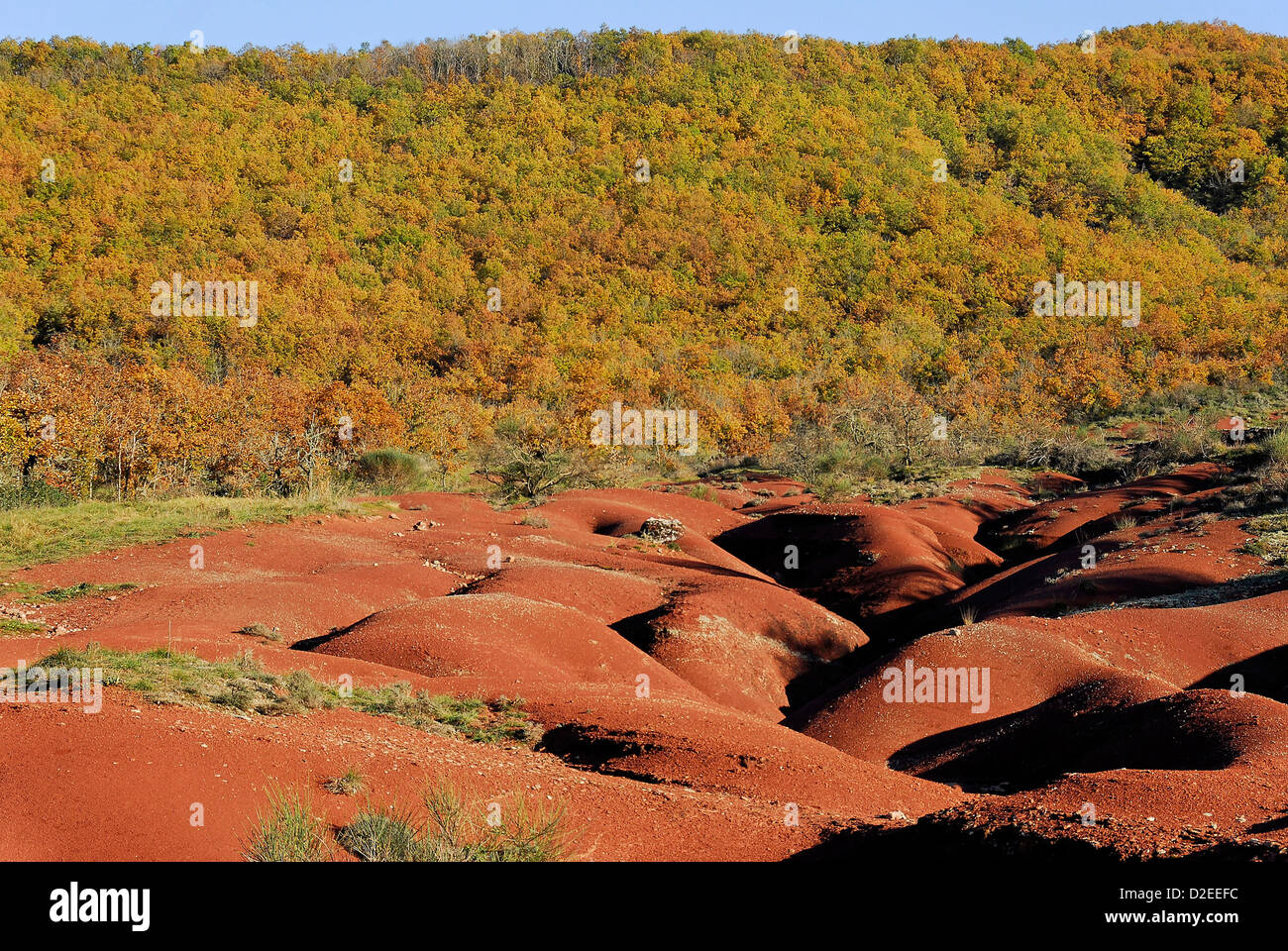 Rougier High Resolution Stock Photography and Images - Alamy