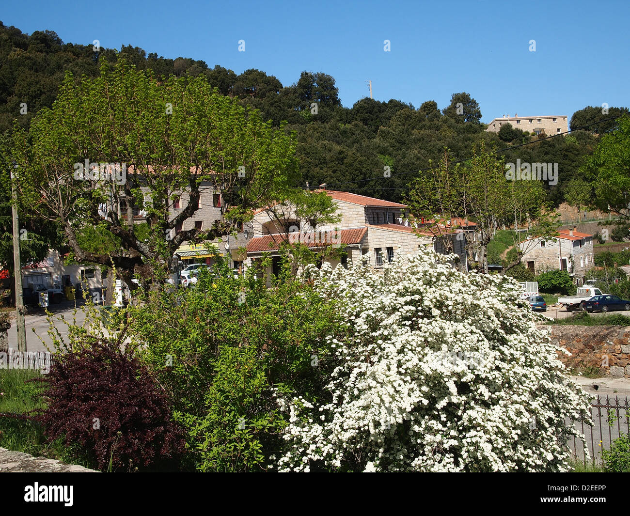 A nice homestead on Corsica Stock Photo - Alamy